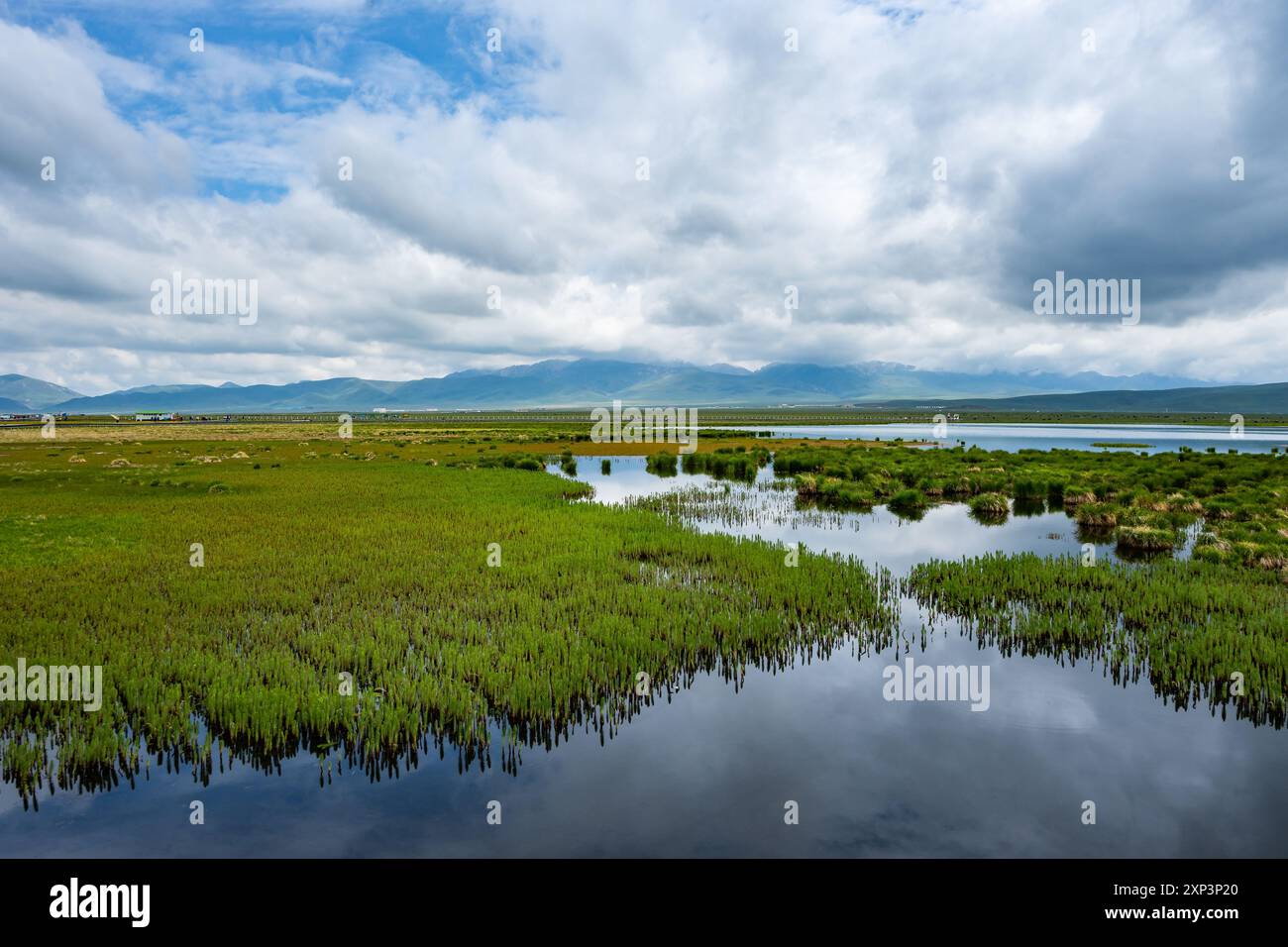 Wide open wetlands at the Flower Lake Nature Reserve. Ruoergai Wetland ...