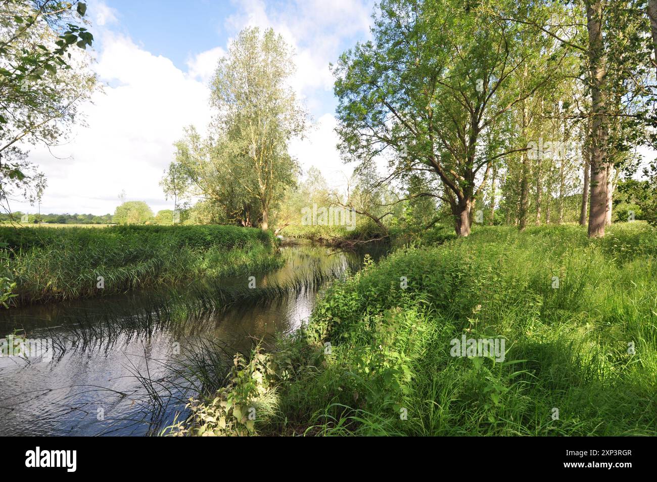 The River Stour below Bures Suffolk England UK Stock Photo - Alamy
