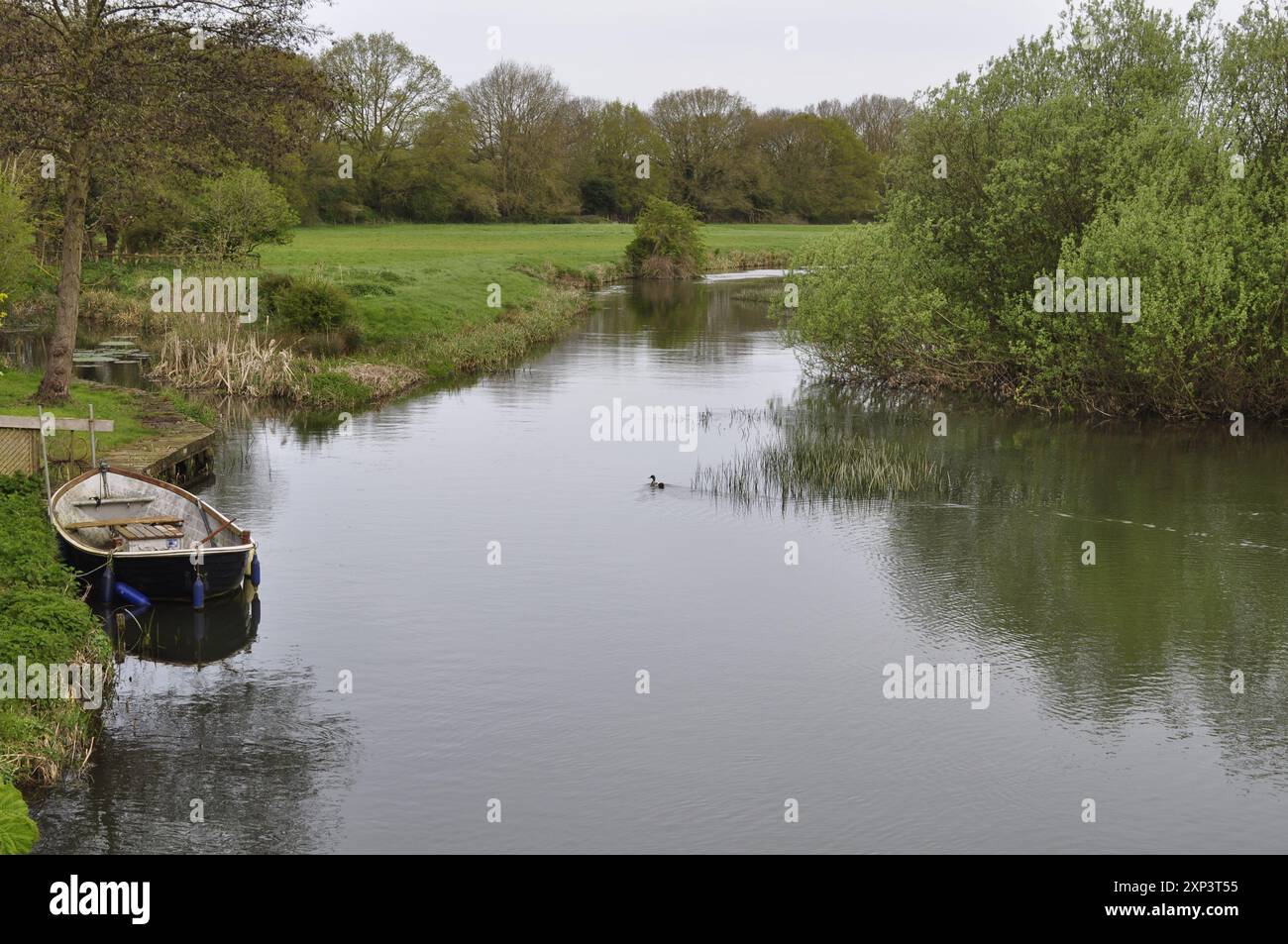 River Stour at Sudbury Suffolk England UK Stock Photo - Alamy