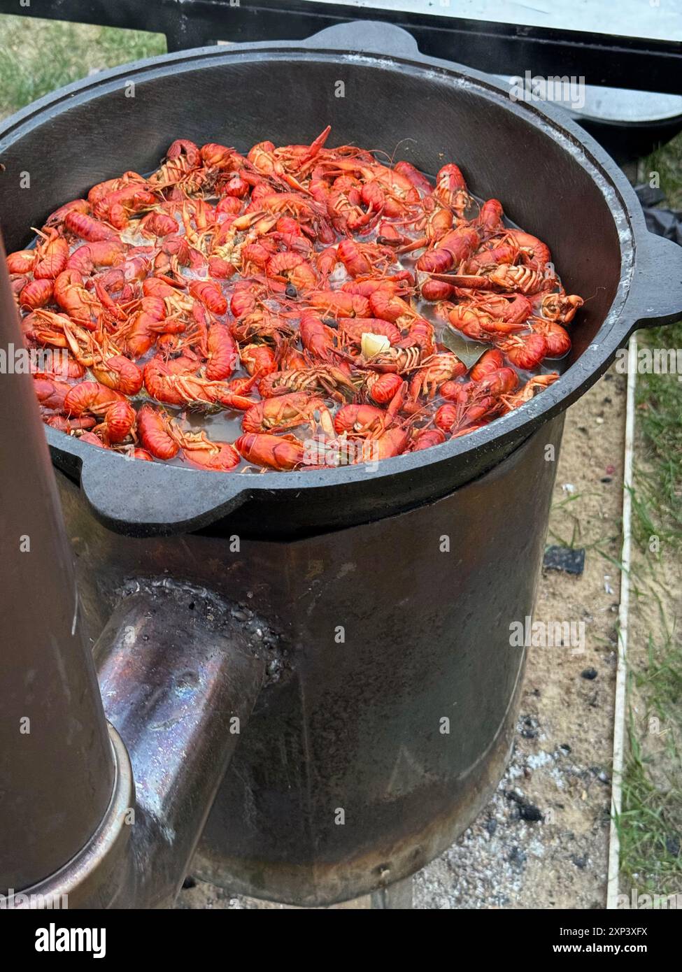 River crayfish are boiling in a cauldron over an open fire. The ...