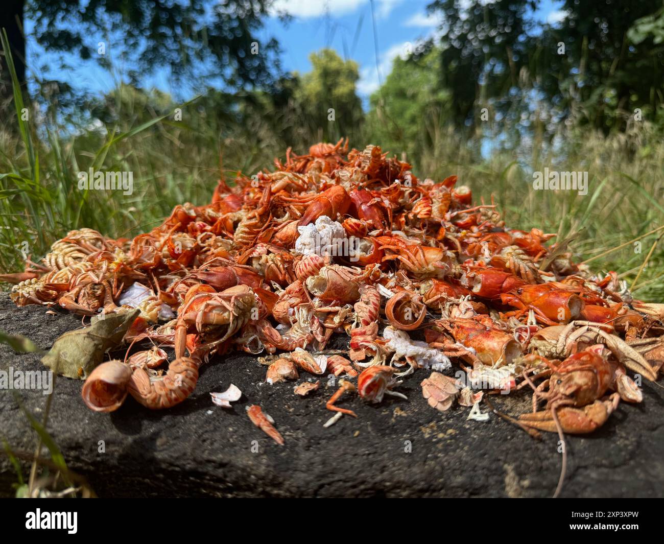 Crayfish waste hi-res stock photography and images - Alamy