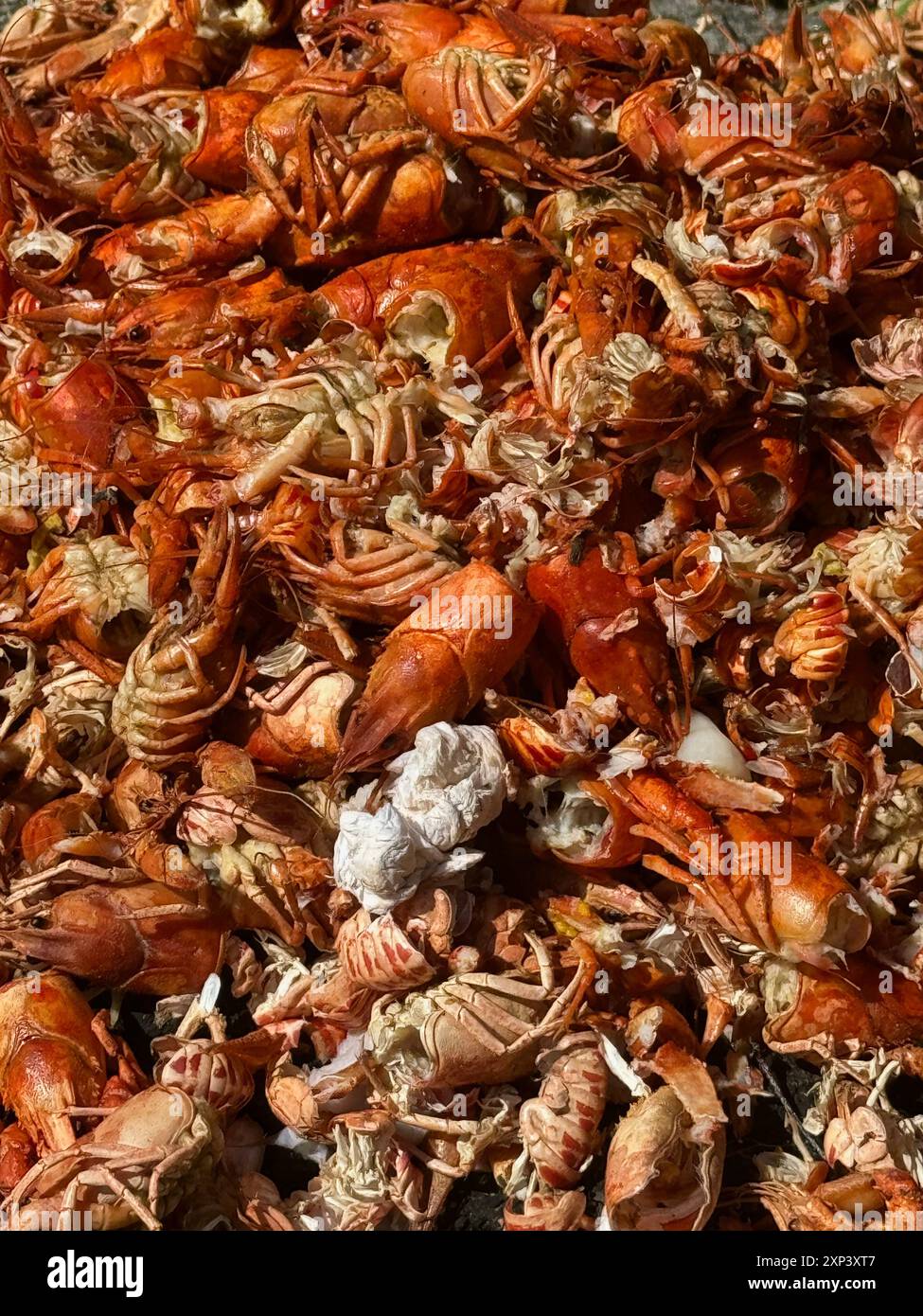 A mountain of river crayfish waste. Claws and shells after eating ...