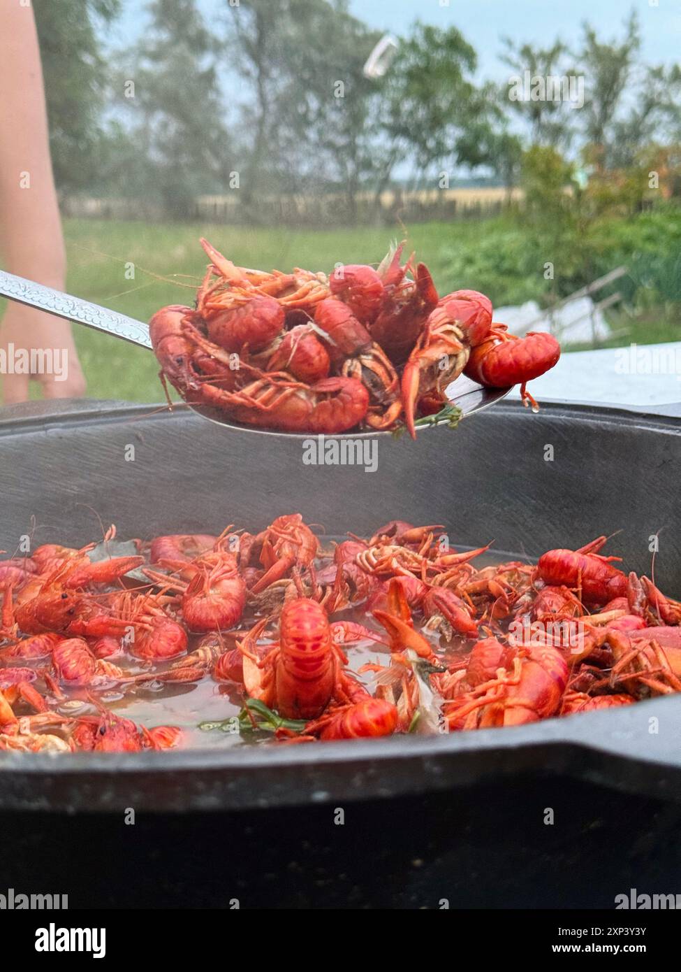 Vertical video close up chef hi-res stock photography and images - Alamy