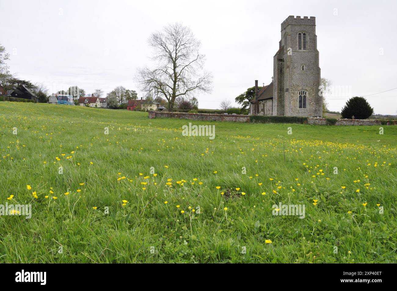 Hawkedon green, Suffolk, England, UK Stock Photo - Alamy