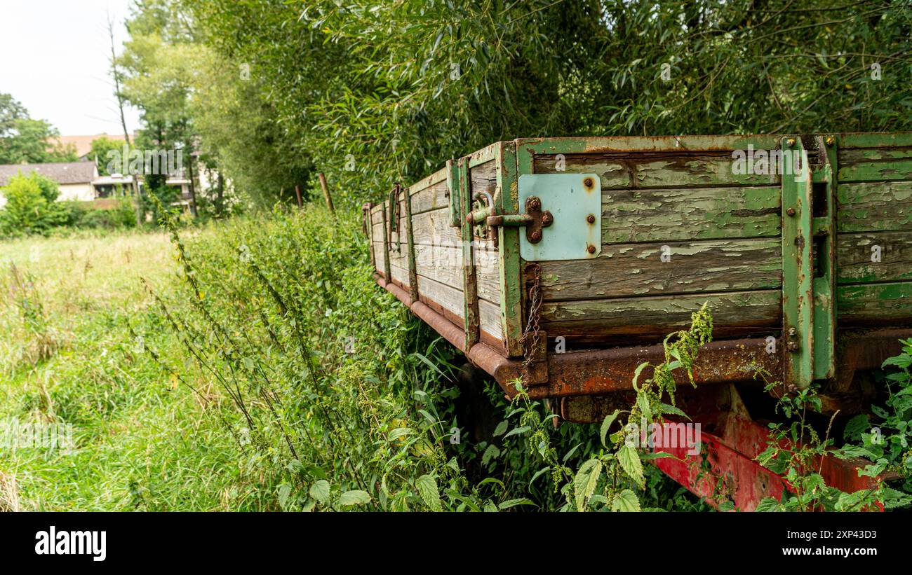 Old farm trailer in the bushes. Wooden sides. Museum object. Abandoned ...