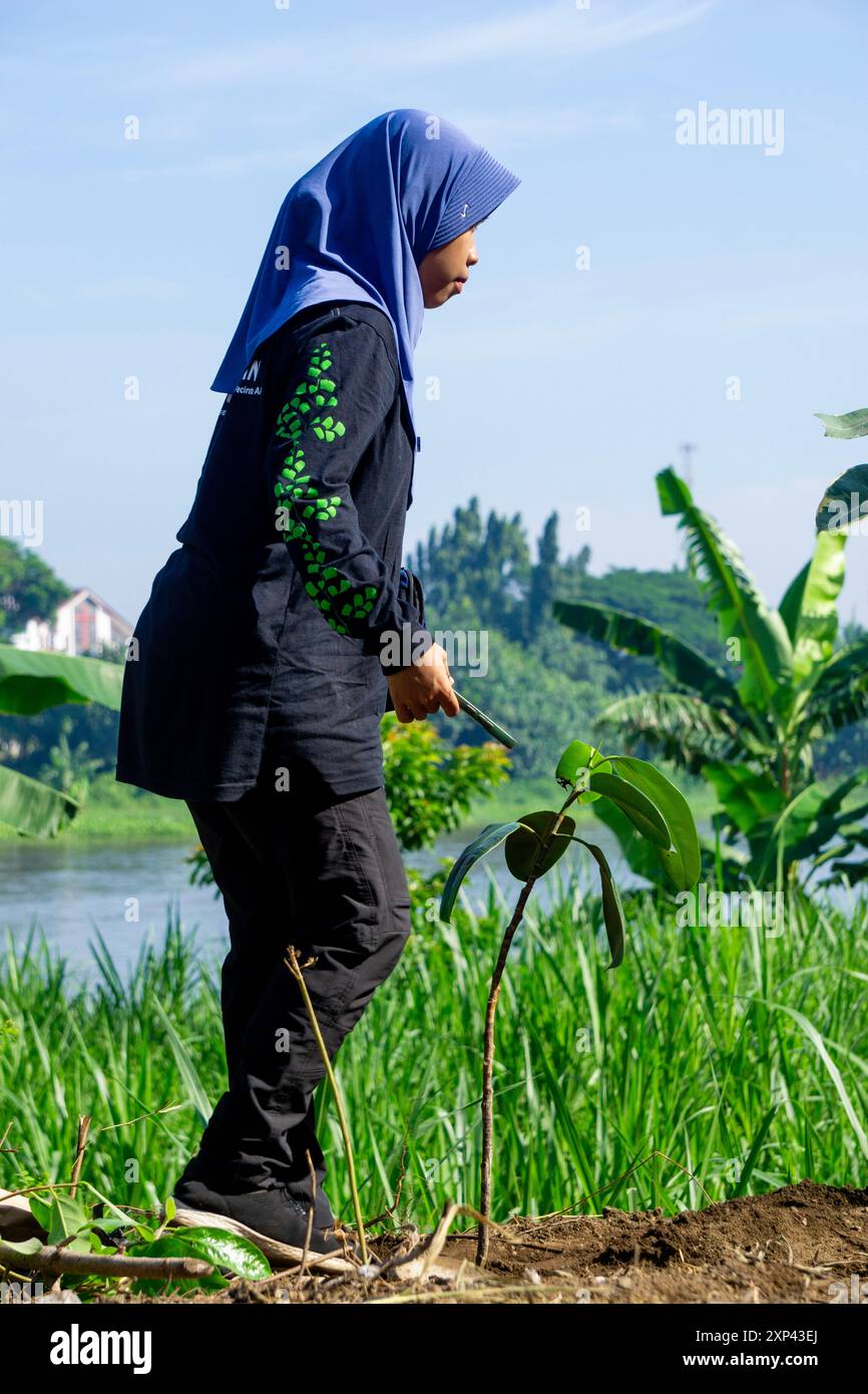 Indonesian people is planting plants to green the land Stock Photo - Alamy