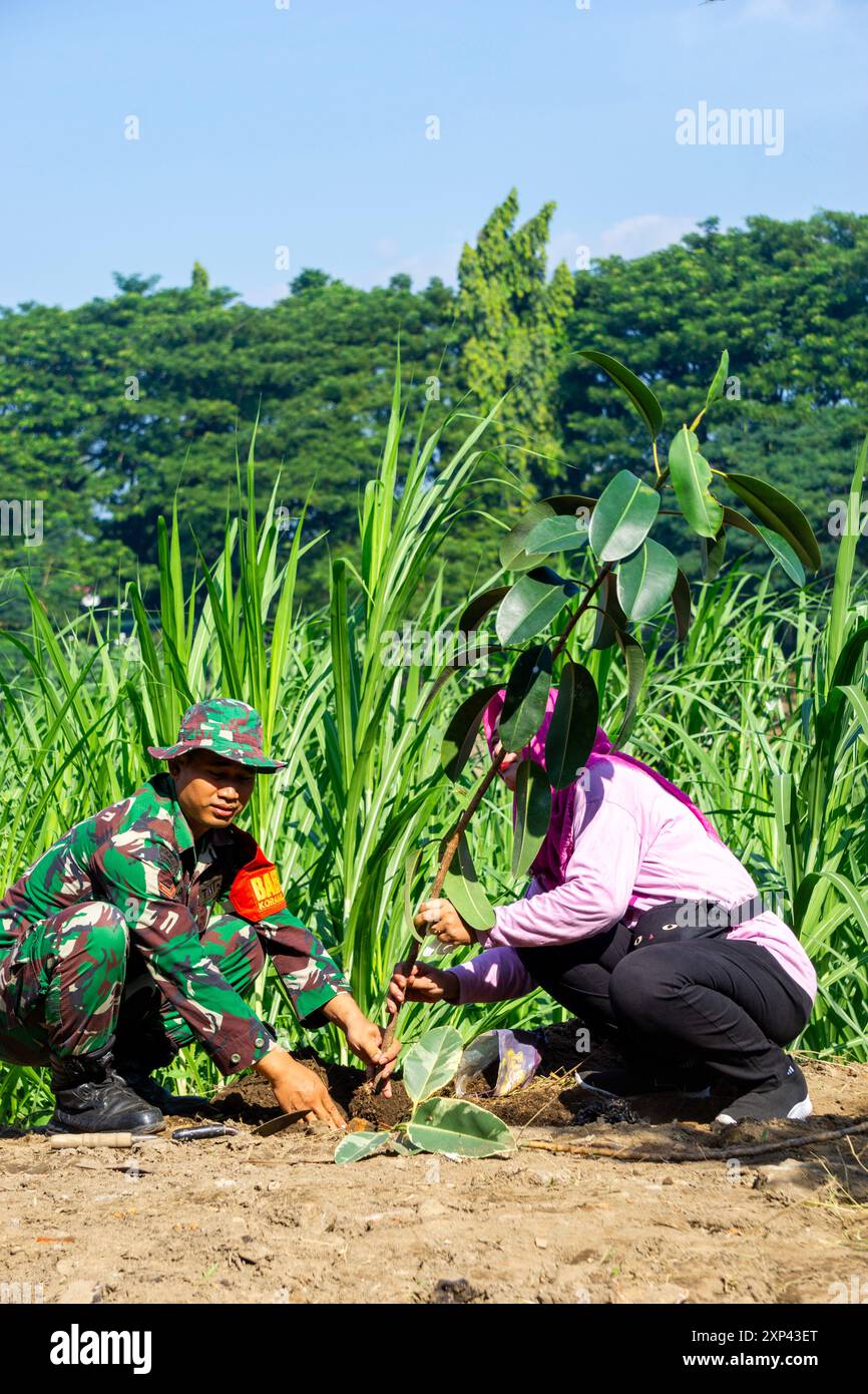 Indonesian people is planting plants to green the land Stock Photo - Alamy