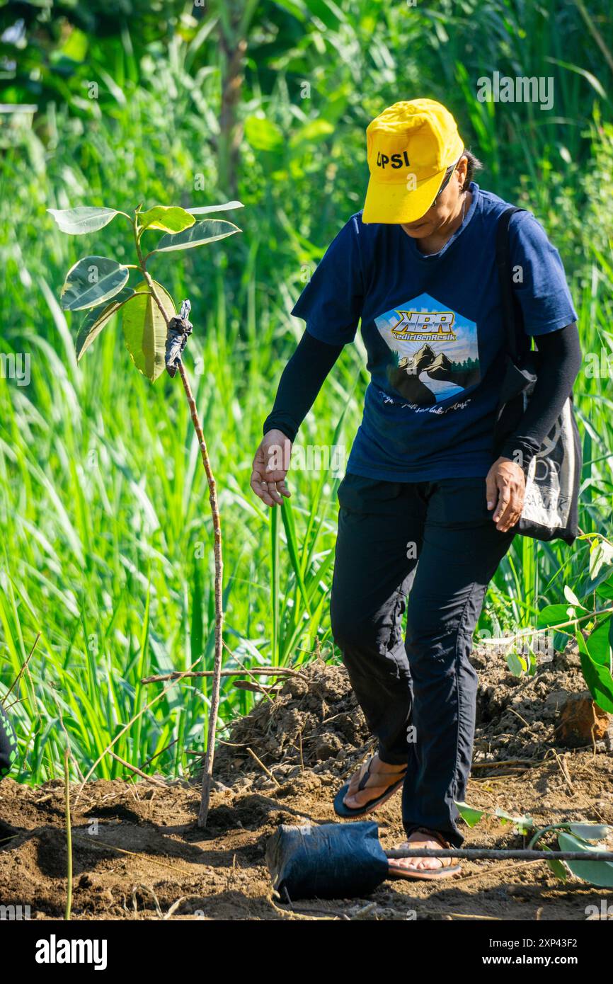 Indonesian people is planting plants to green the land Stock Photo - Alamy