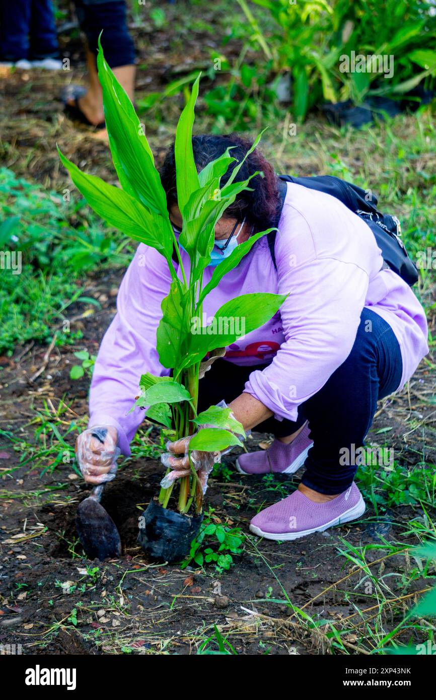 Indonesian people is planting plants to green the land Stock Photo - Alamy