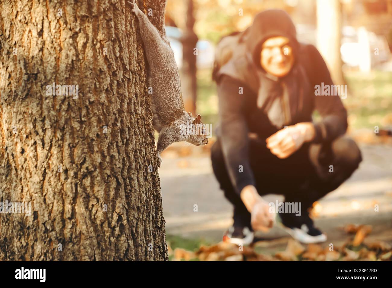 Human looking tree trunk hi-res stock photography and images - Alamy