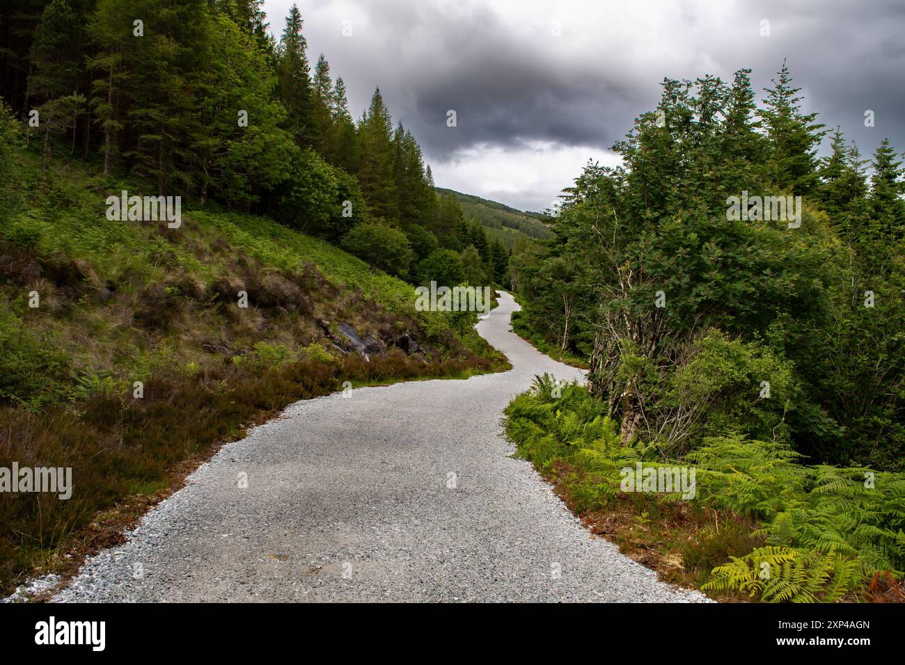 Hiking Path To The Otter Hide Observation Point In Kylerhea On The Isle ...