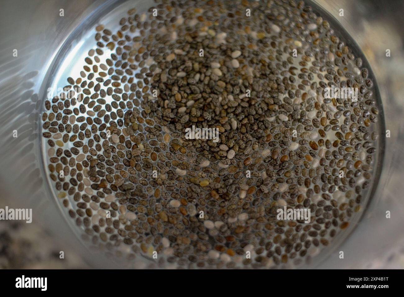 healthy chia seeds floating in water before consumption Stock Photo - Alamy