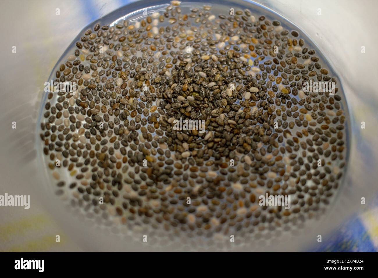 chia seeds floating in water contain omega 3 healthy fat Stock Photo ...