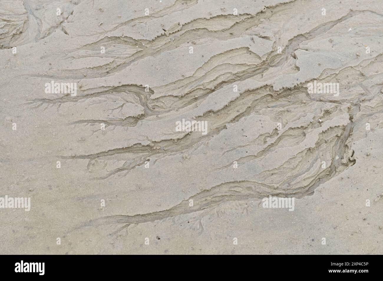 Natural water patterns in wet sand on a beach, showing erosion and ...