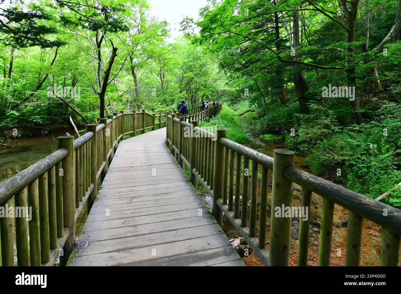Taisho bashi hi-res stock photography and images - Alamy