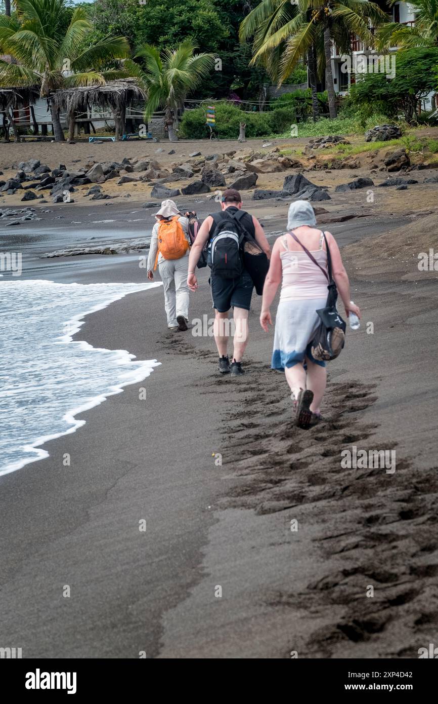 Hikers exploring black sand beach with lush vegetation and palm trees ...
