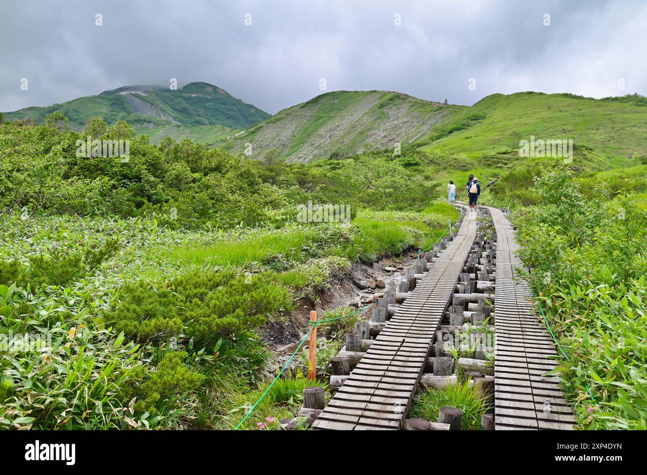 Japan hiking trails hi-res stock photography and images - Alamy
