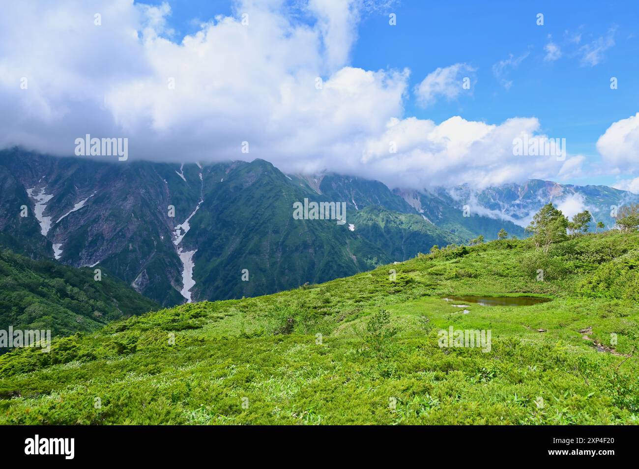 Nature Scenery of Hakuba Happo One and the Japanese Alps During Summer in Nagano, Japan Stock ...