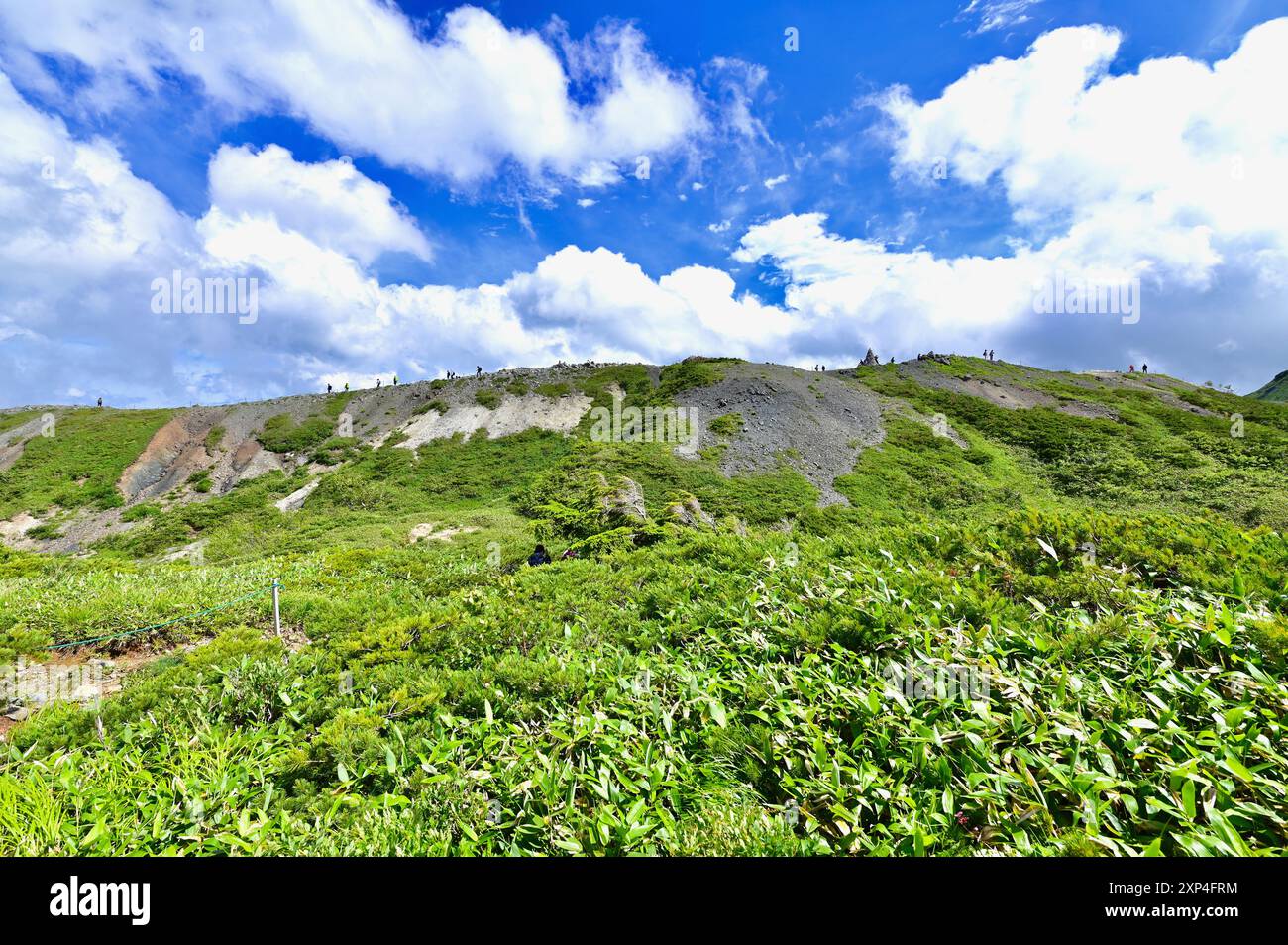 Green Scenery of Hakuba Happo One in Nagano Prefecture Stock Photo - Alamy