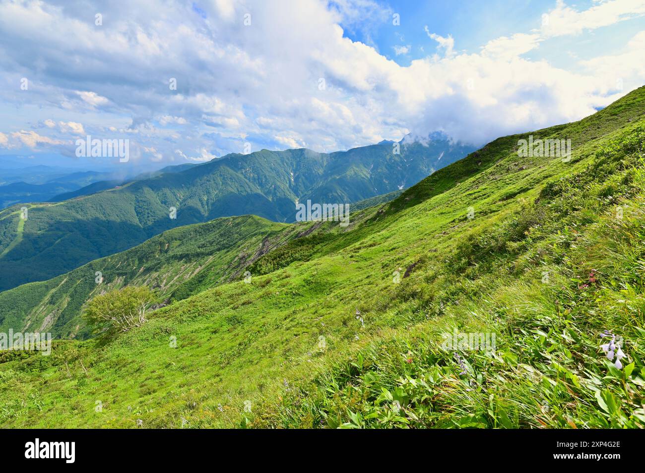 Summer landscape japanese alps hi-res stock photography and images - Alamy