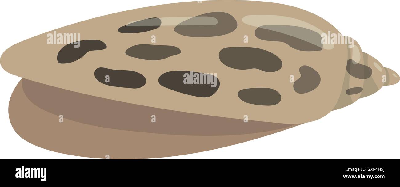 Clam shell color icon. Ocean coast fauna Stock Vector Image & Art - Alamy