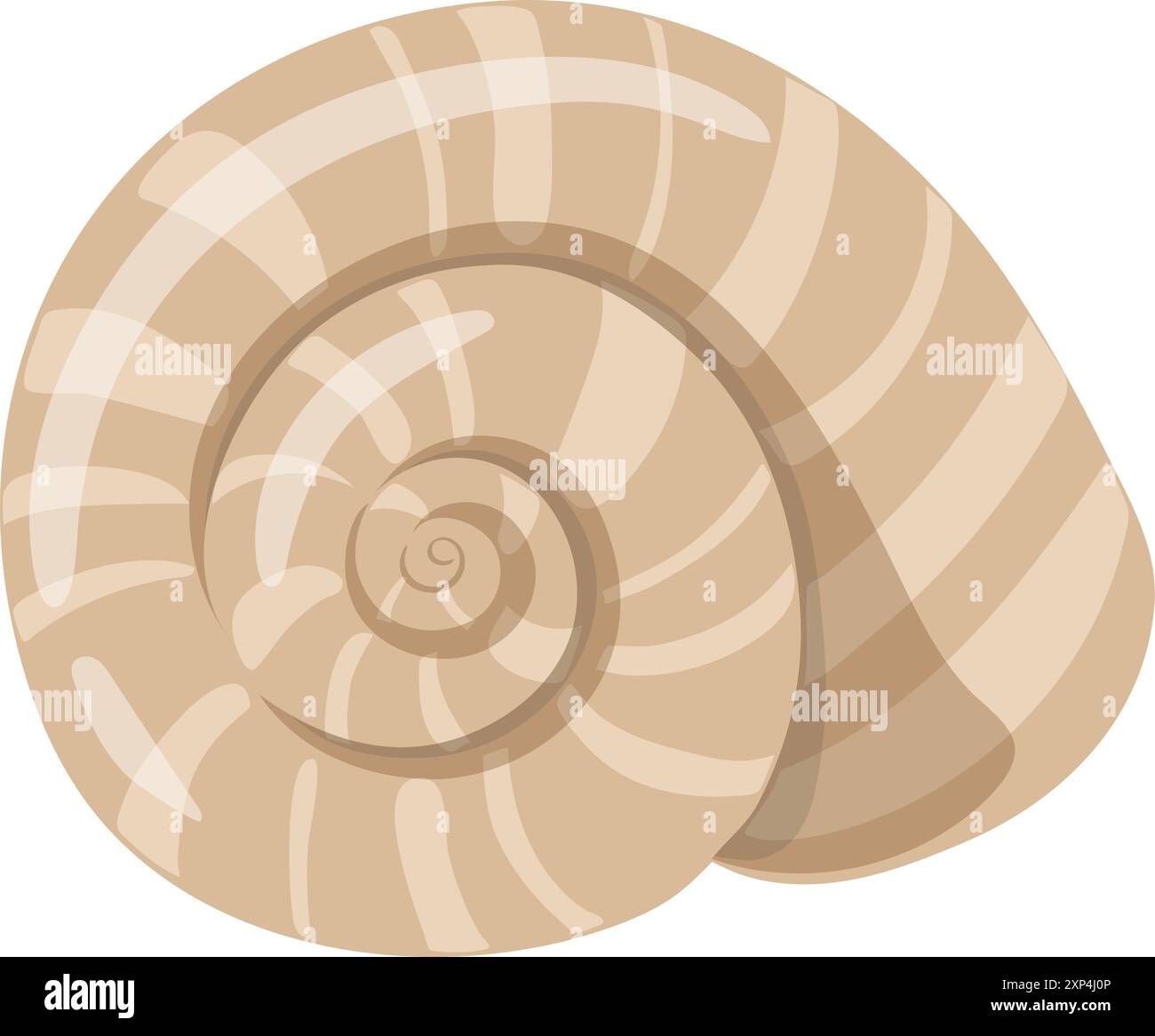 Ocean seashell icon. Aquatic shell swirl fauna Stock Vector Image & Art ...