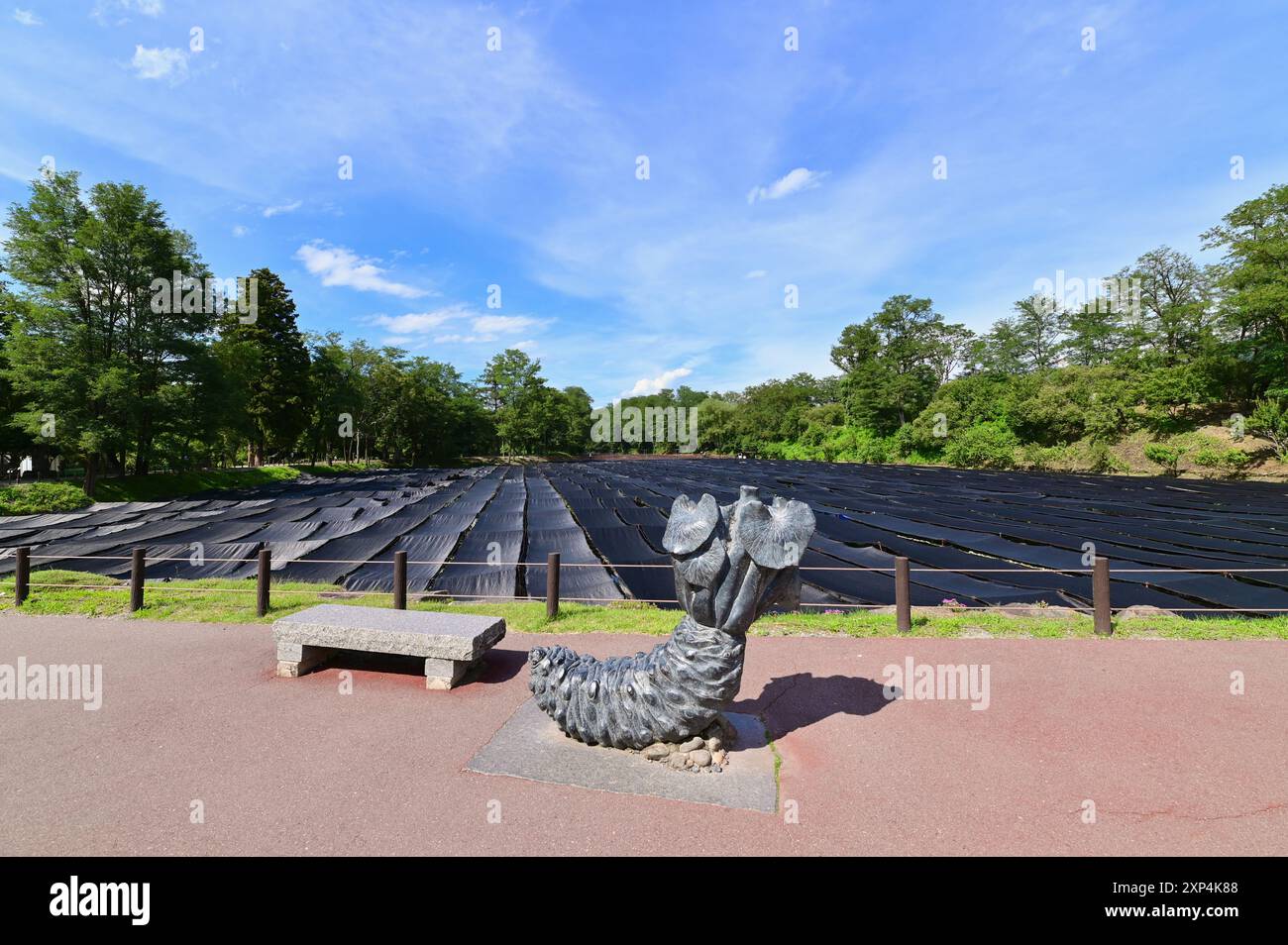 Wasabi Sculpture at Daio Wasabi Farm, Largest Wasabi Farm in Japan ...