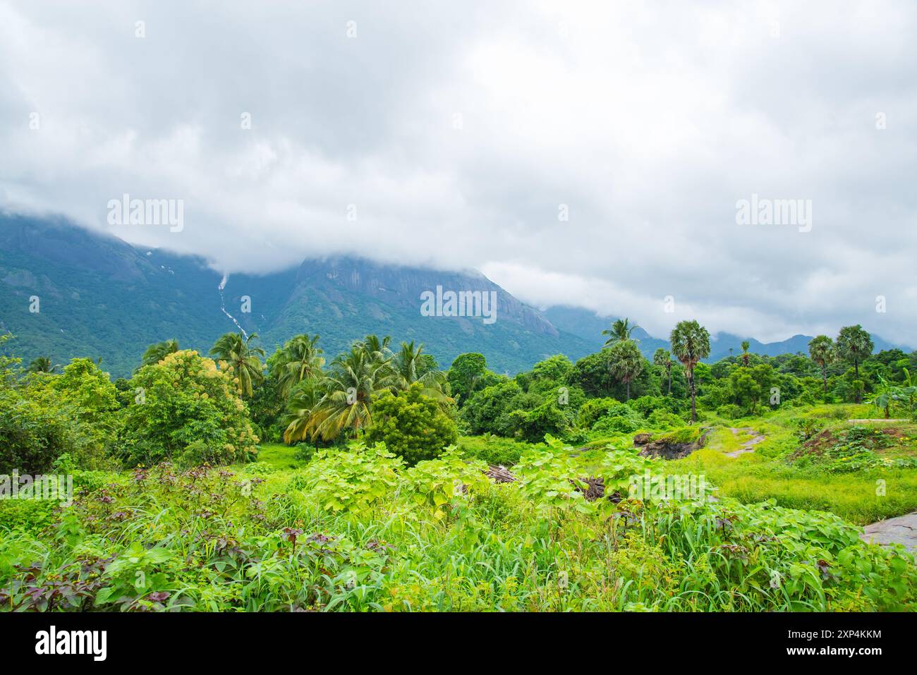 Kollengode Village with Nelliyampathy Mountains and Seetharkundu ...