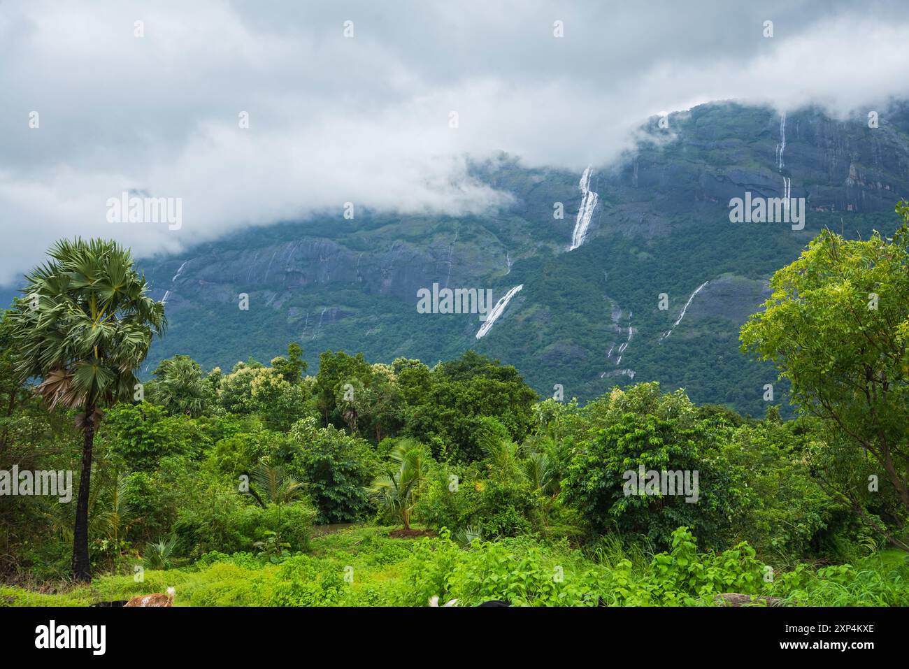 Kollengode Village with Nelliyampathy Mountains and Seetharkundu ...