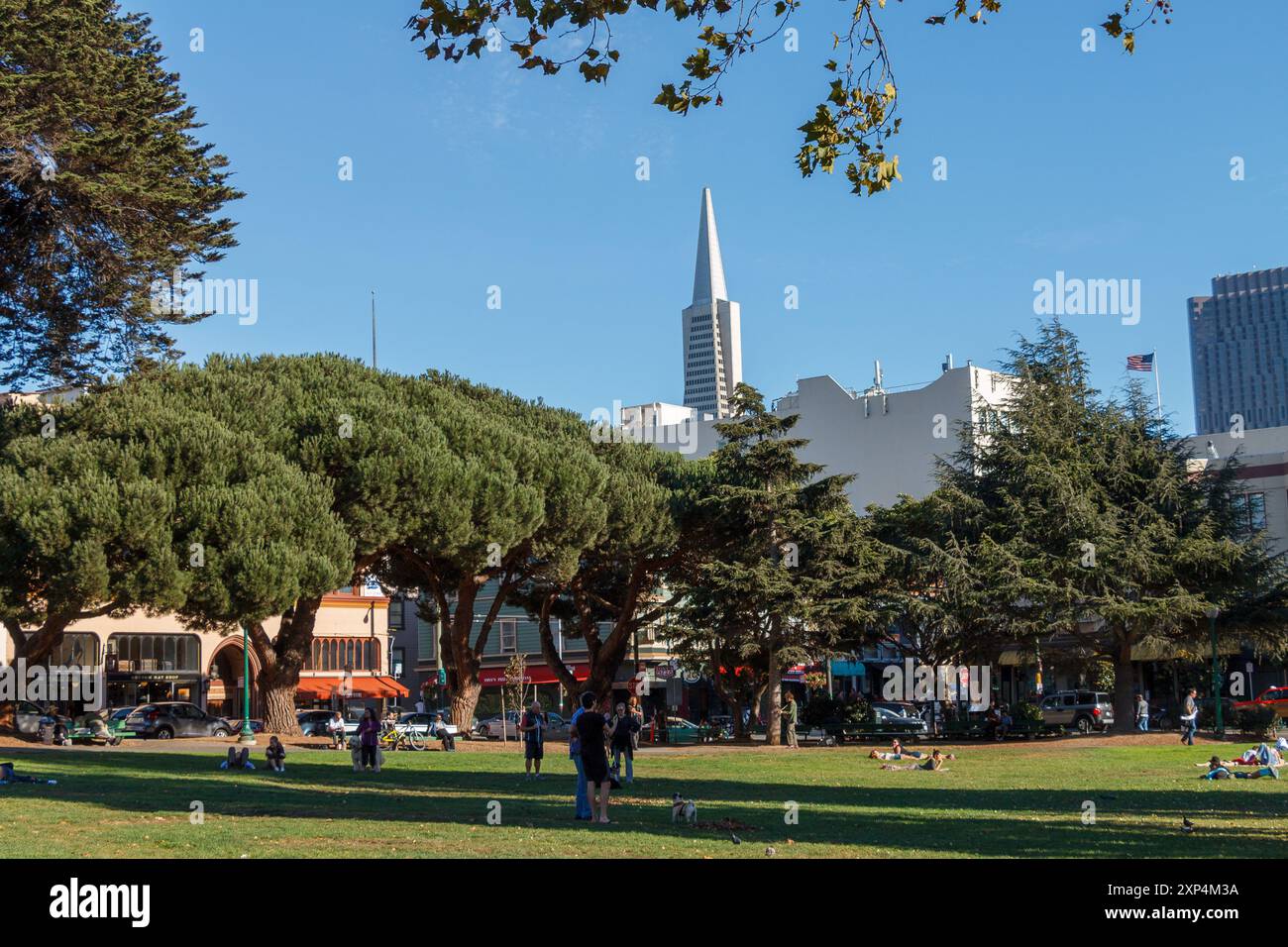 Washington Square and the modern architecture skyscraper Transamerica ...