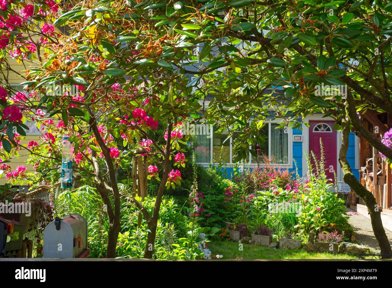 A beautiful front-yard cottage garden fills a small area with flowering ...