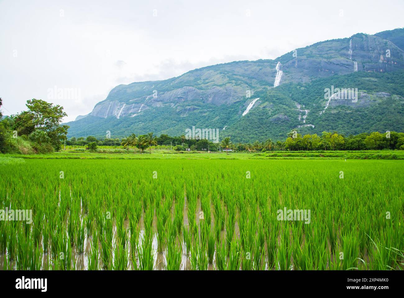 Kollengode Village with Nelliyampathy Mountains and Seetharkundu ...