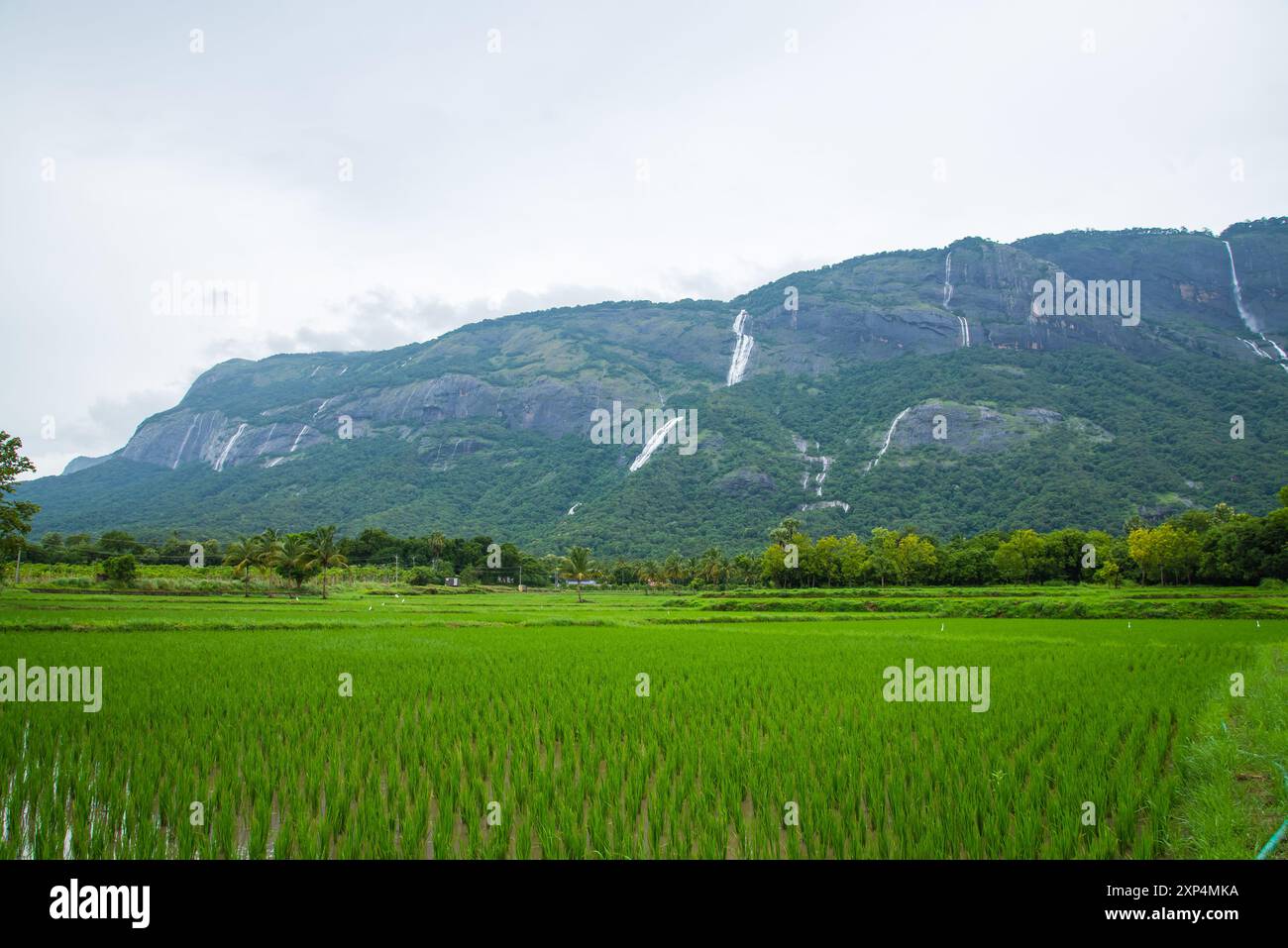 Kollengode Village with Nelliyampathy Mountains and Seetharkundu ...