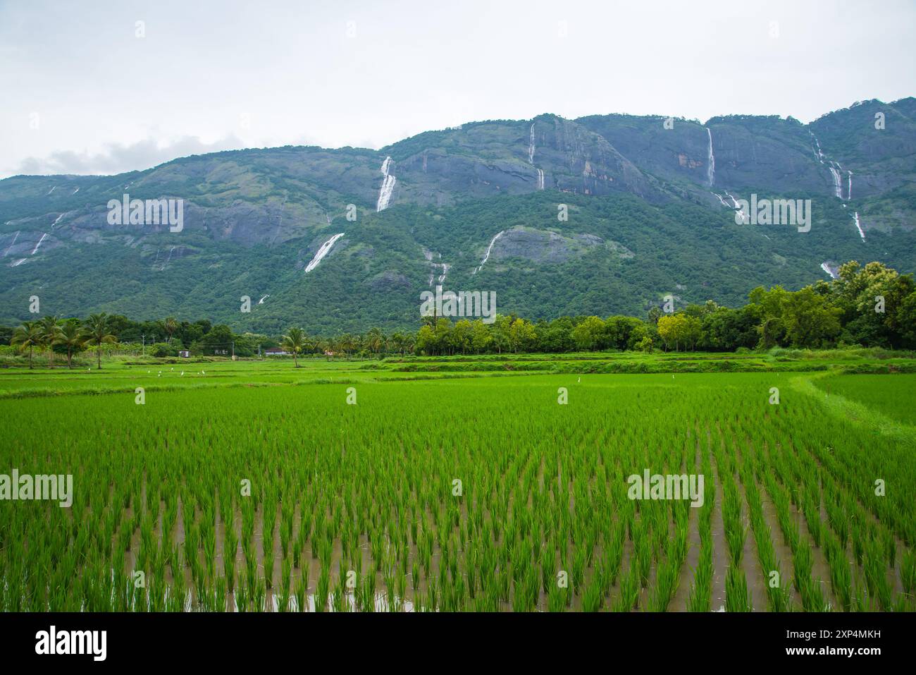 Kollengode Village with Nelliyampathy Mountains and Seetharkundu ...
