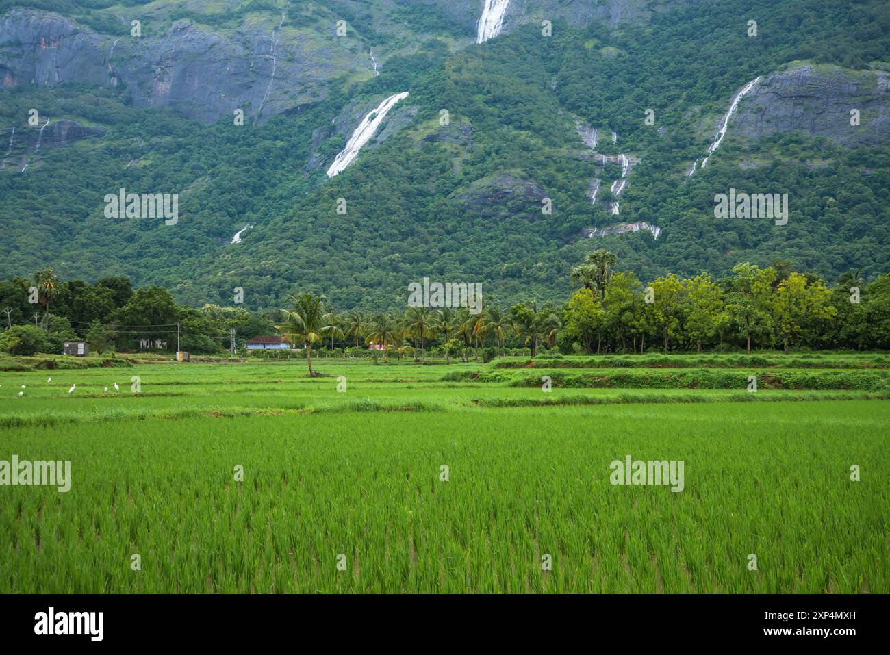 Kollengode Village with Nelliyampathy Mountains and Seetharkundu ...