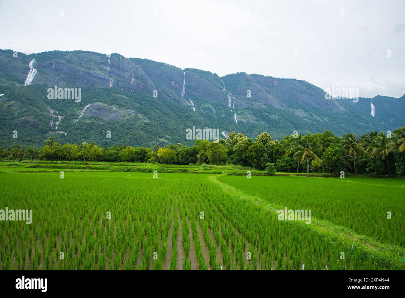 Kollengode Village with Nelliyampathy Mountains and Seetharkundu ...