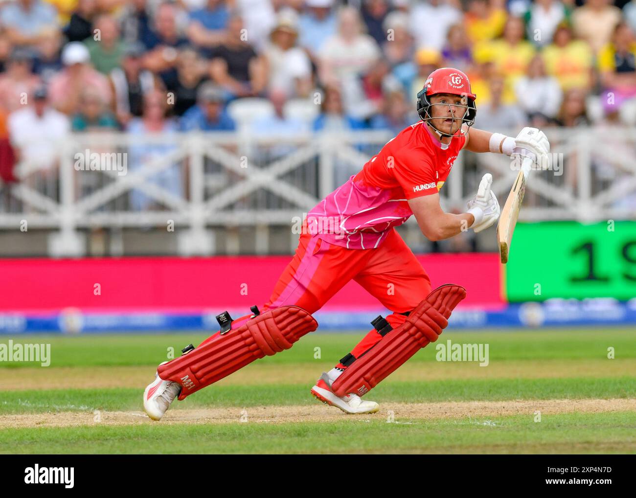 Cricket tom abell hi-res stock photography and images - Alamy