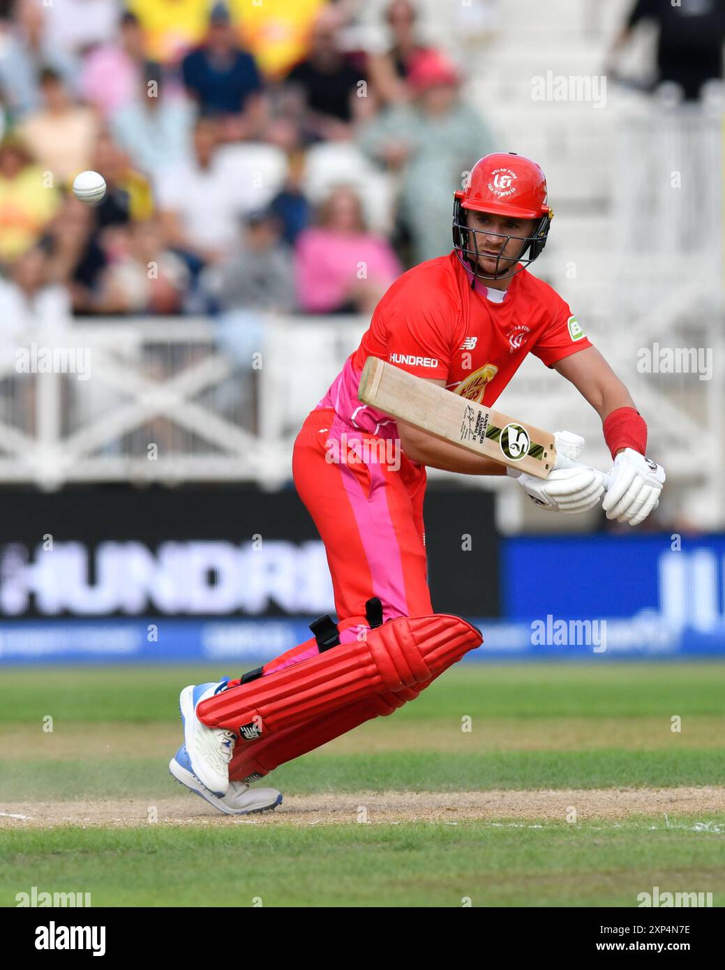 Cricket tom abell hi-res stock photography and images - Alamy
