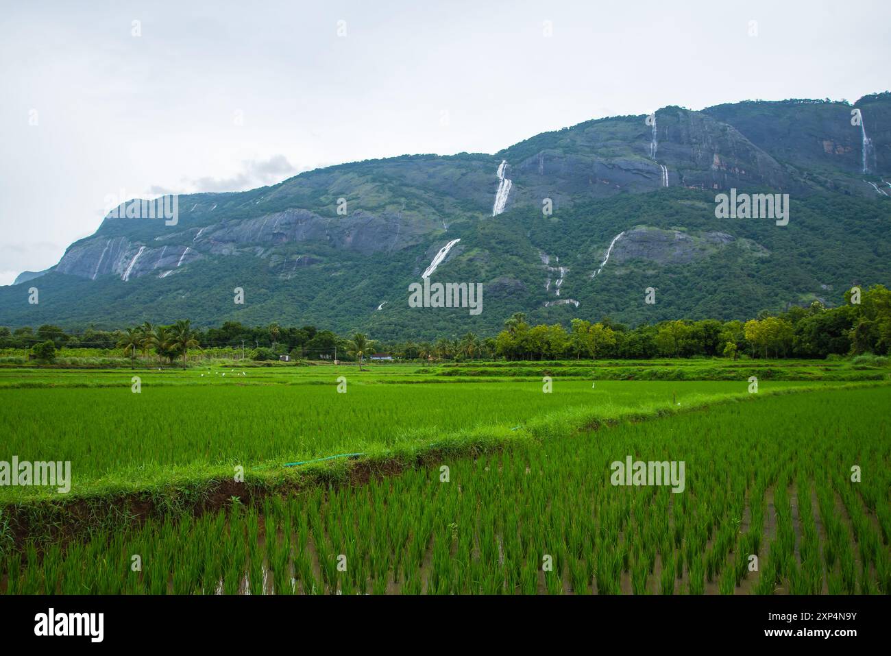 Kollengode Village with Nelliyampathy Mountains and Seetharkundu ...
