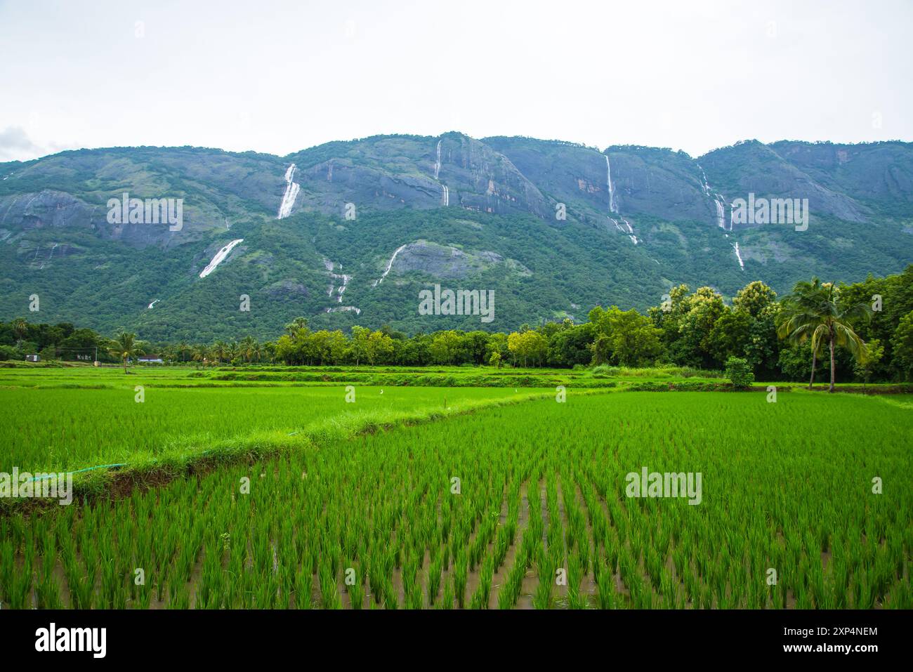 Kollengode Village with Nelliyampathy Mountains and Seetharkundu ...