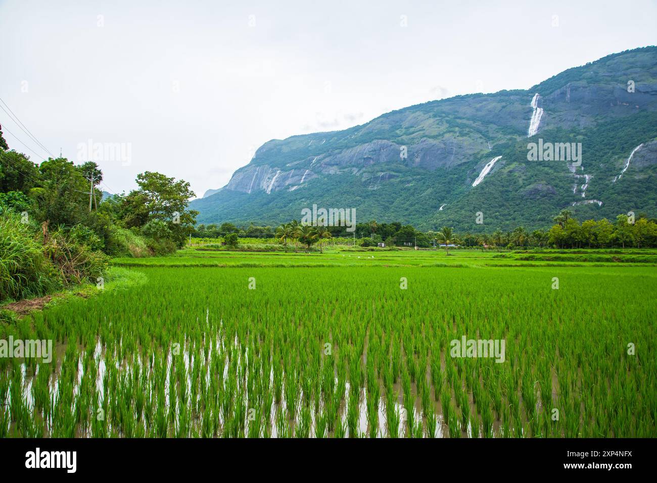 Kollengode Village with Nelliyampathy Mountains and Seetharkundu ...