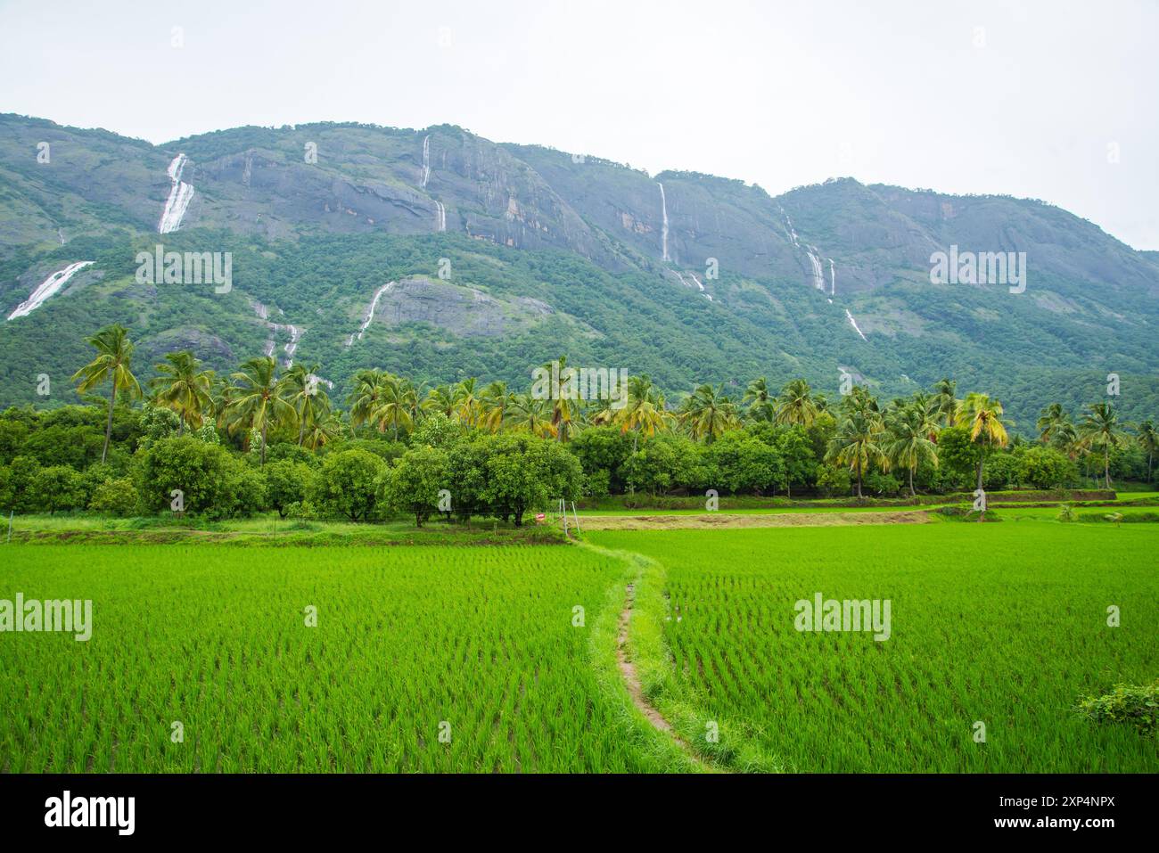 Kollengode Village with Nelliyampathy Mountains and Seetharkundu ...
