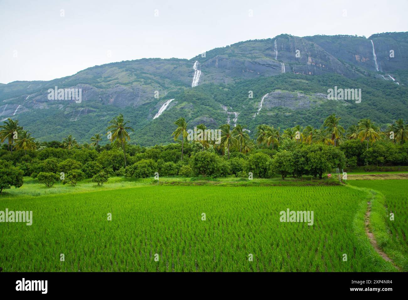 Kollengode Village with Nelliyampathy Mountains and Seetharkundu ...
