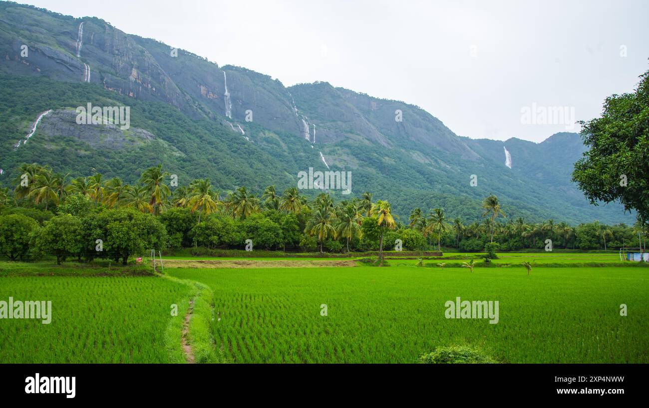 Kollengode Village with Nelliyampathy Mountains and Seetharkundu ...
