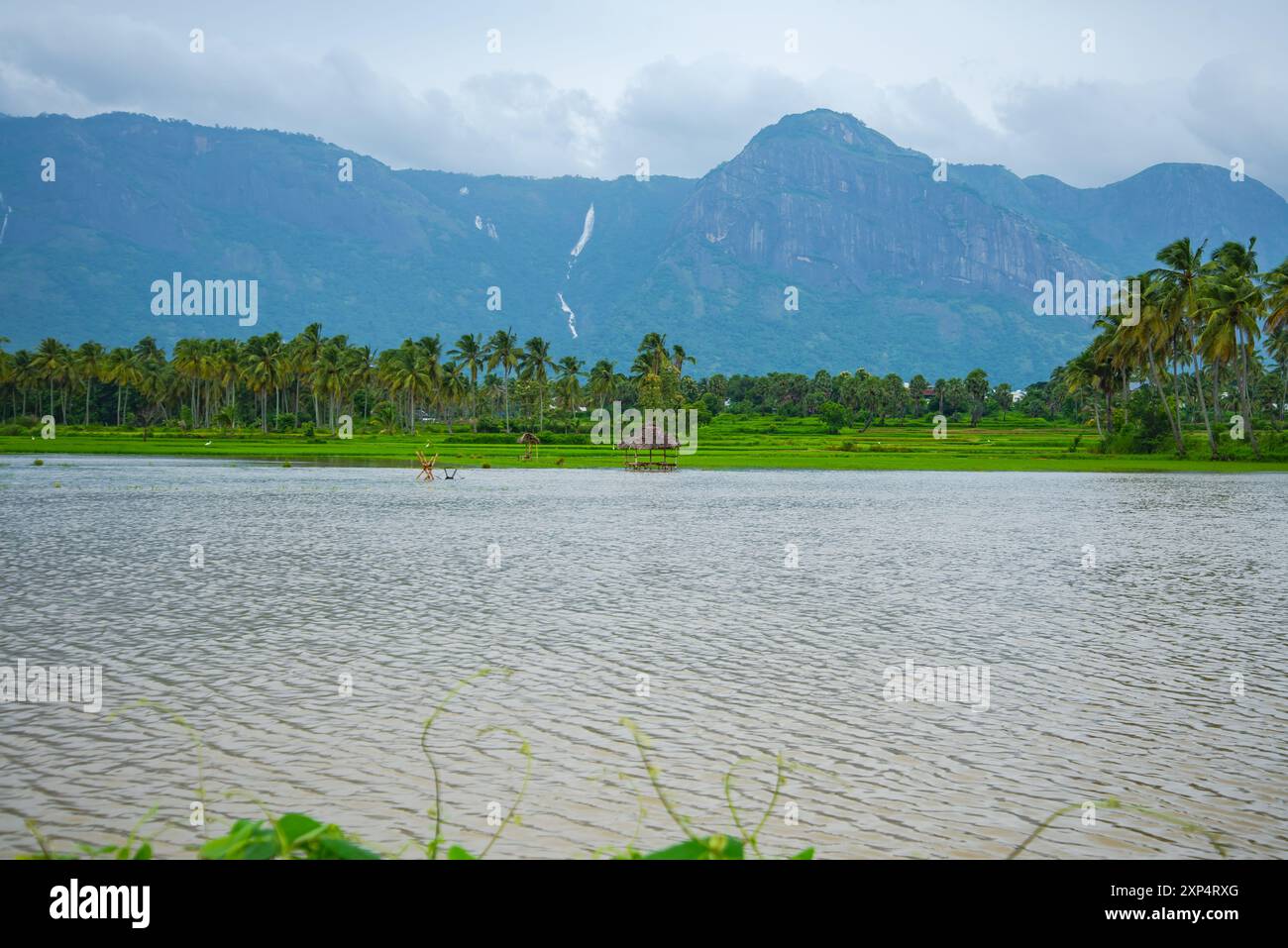 Scenic Kollengode Village with Nelliyampathy Mountains and Seetharkundu ...