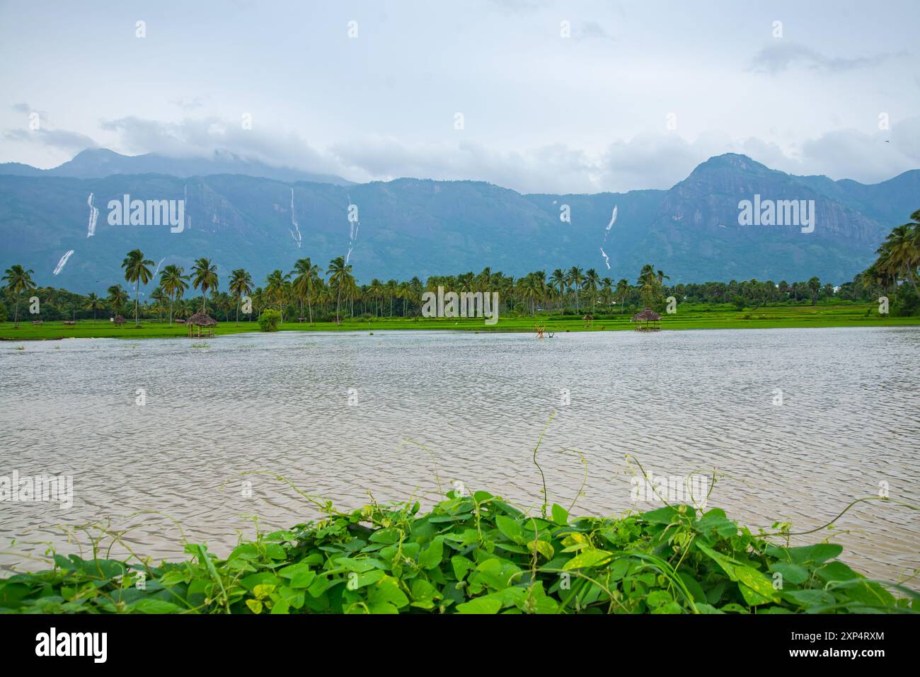 Scenic Kollengode Village with Nelliyampathy Mountains and Seetharkundu ...