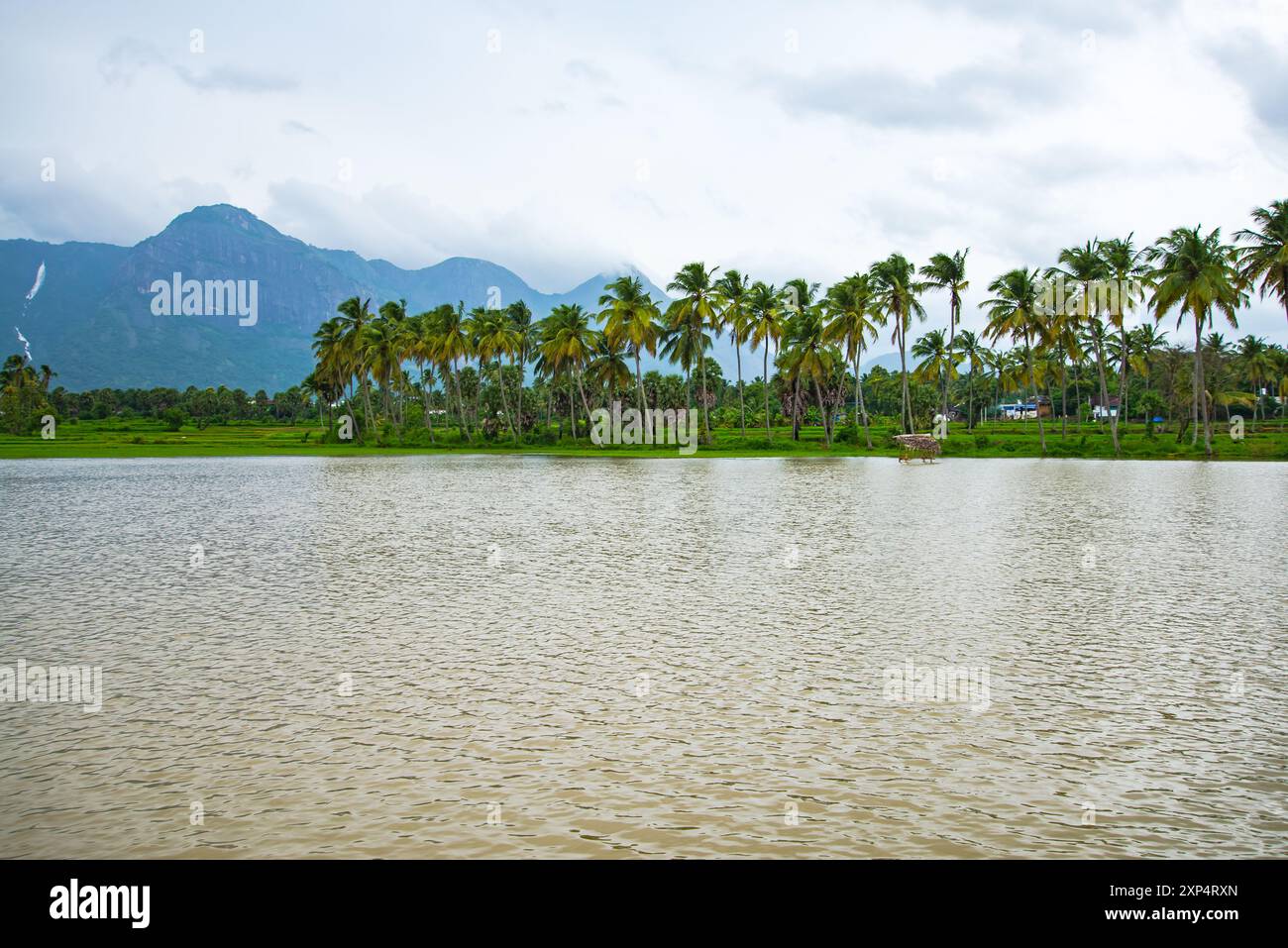 Scenic Kollengode Village with Nelliyampathy Mountains and Seetharkundu ...
