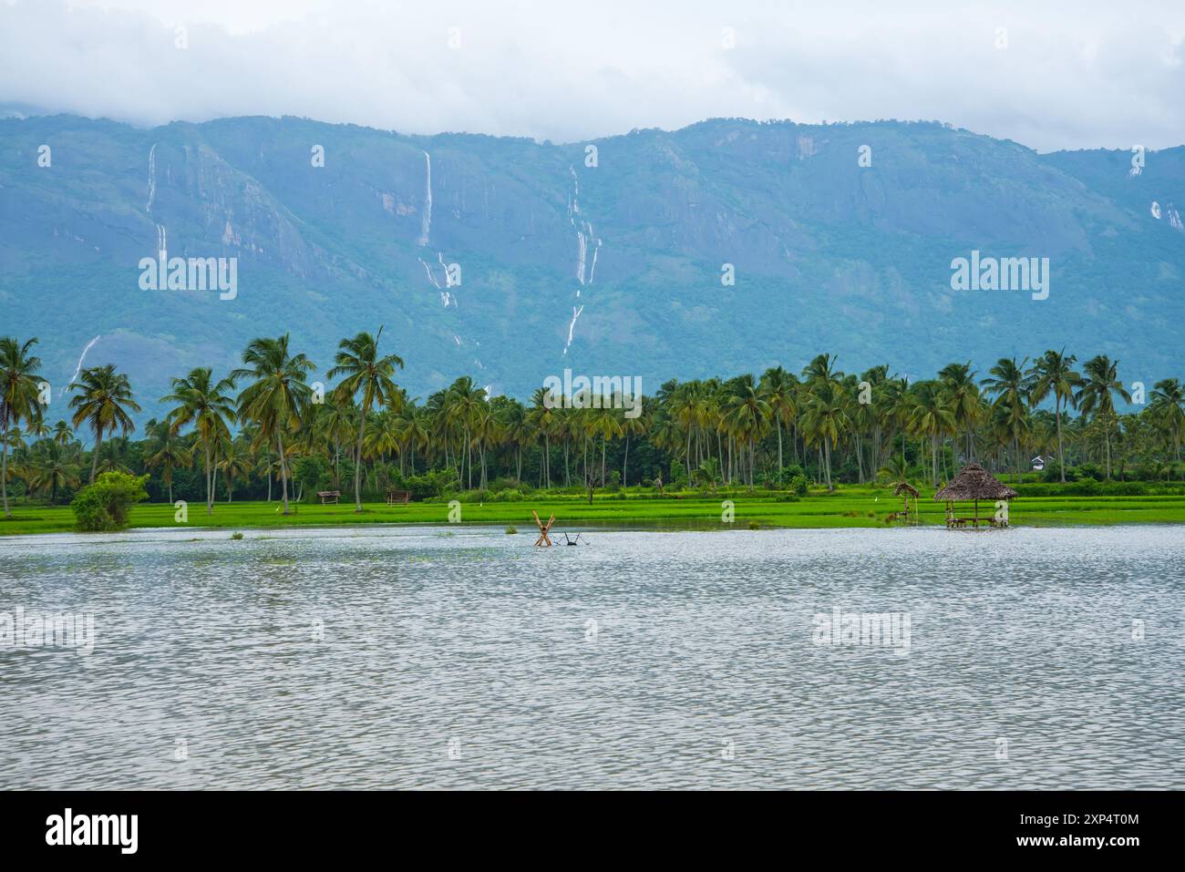Scenic Kollengode Village with Nelliyampathy Mountains and Seetharkundu ...