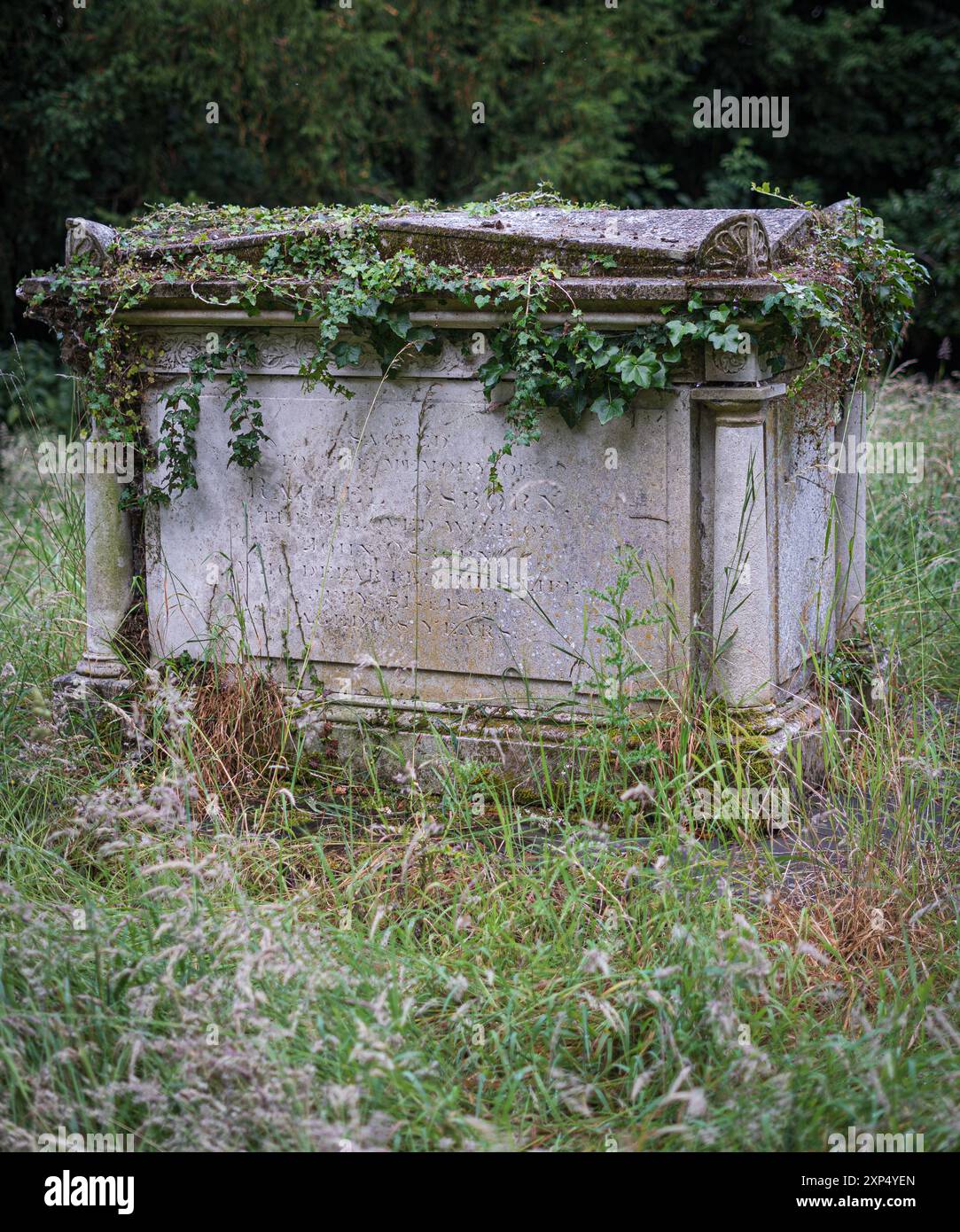 tomb stone with ivy Stock Photo - Alamy