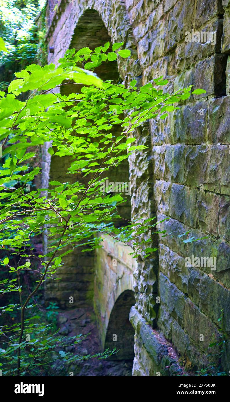 Rumbling Bridge an unusual double bridge in Scotland Stock Photo - Alamy